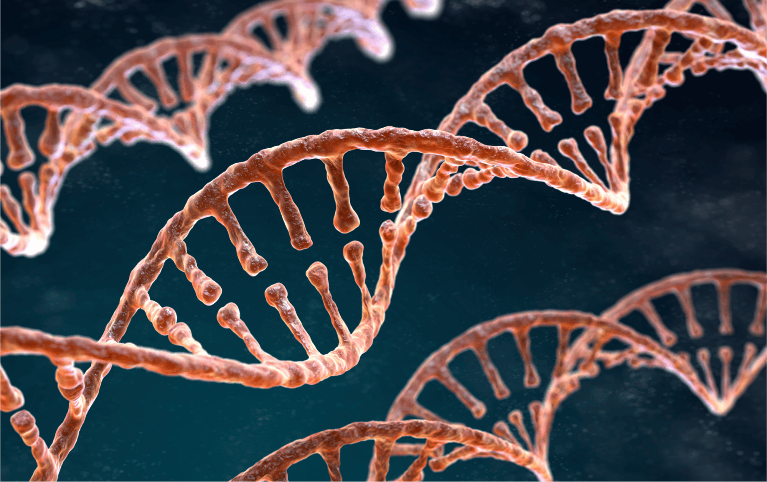 The X Chromosome DNA in DNA Testing - GEDmatch